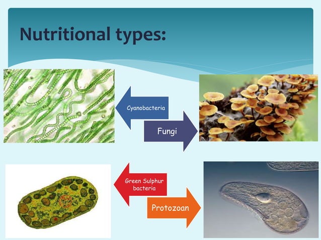 Nutrient requirements in Microorganisms | PPT