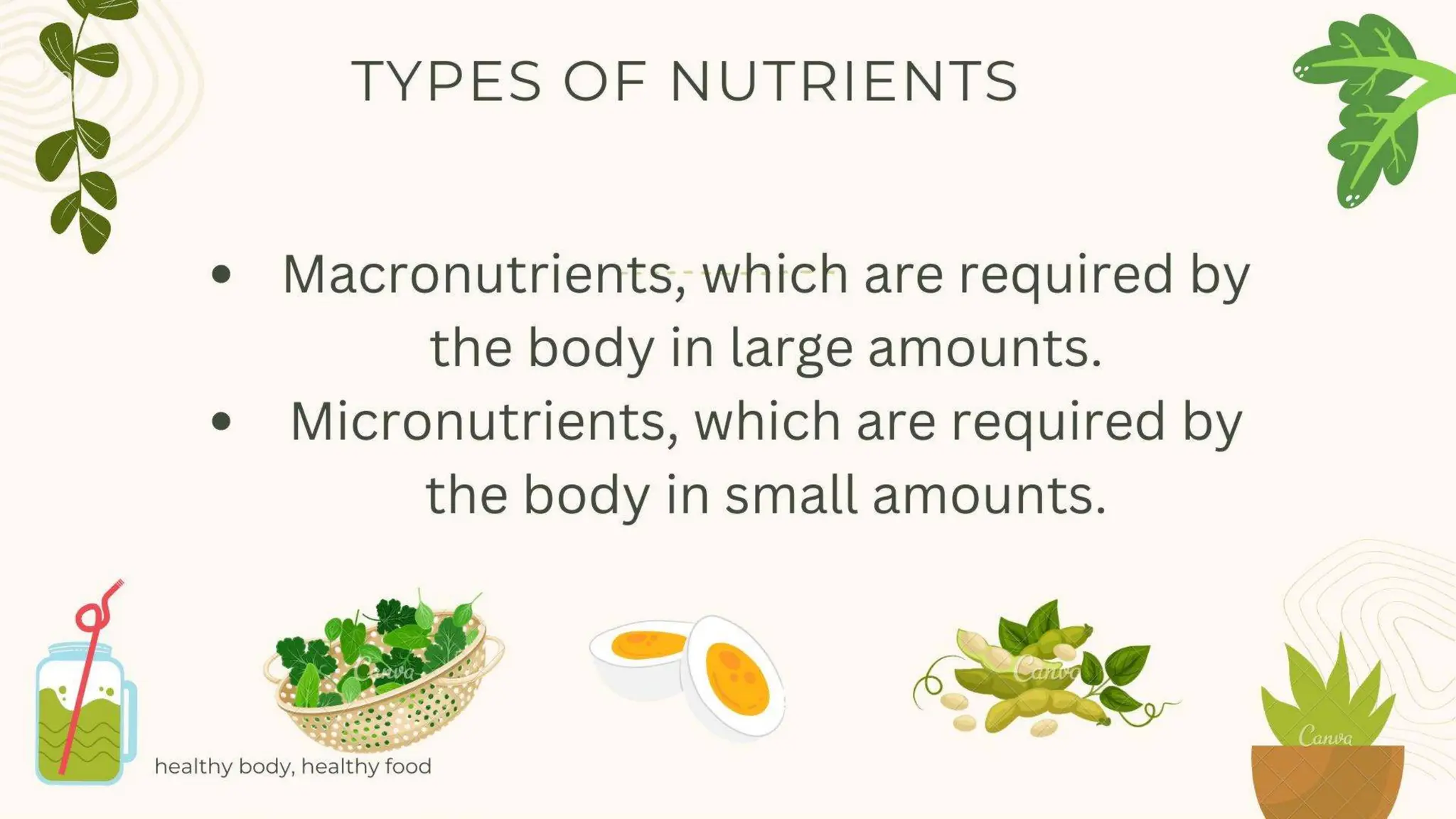 NUTRIENTS.pptx
