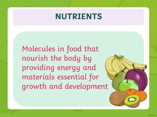 nutrients in food in science grade 8 ggg | PDF
