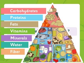 nutrients in food in science grade 8 ggg | PDF