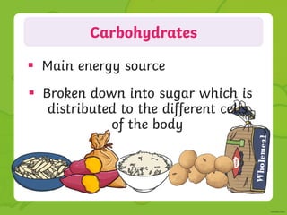 nutrients in food in science grade 8 ggg | PDF