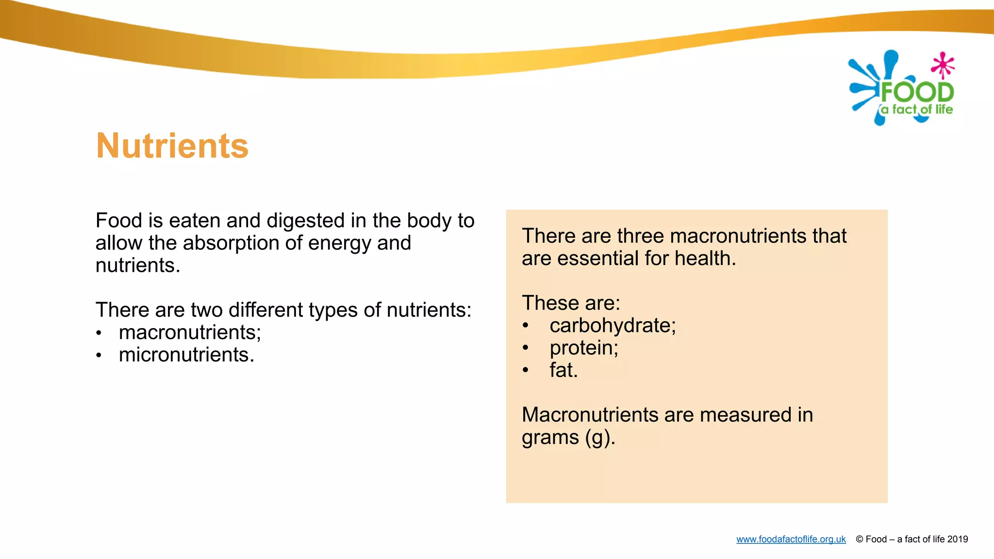 nutrients-ppt-1114he2.pptx