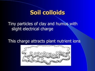 Nutrients soil fertility | PPT