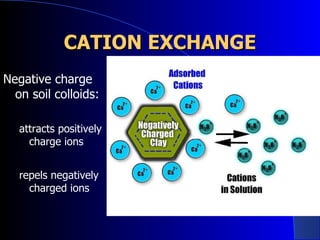 Nutrients soil fertility | PPT
