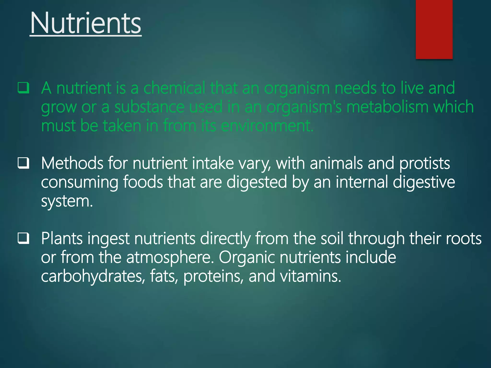 Marine Nutrients and Salts | PPTX