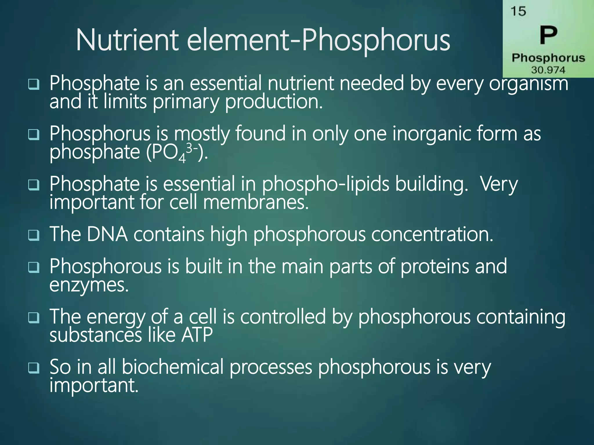 Marine Nutrients and Salts | PPTX