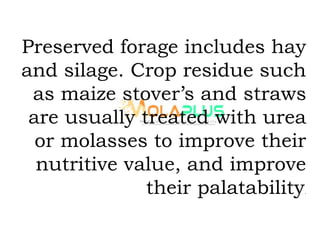Nutrients and microbes supplementation | PPT