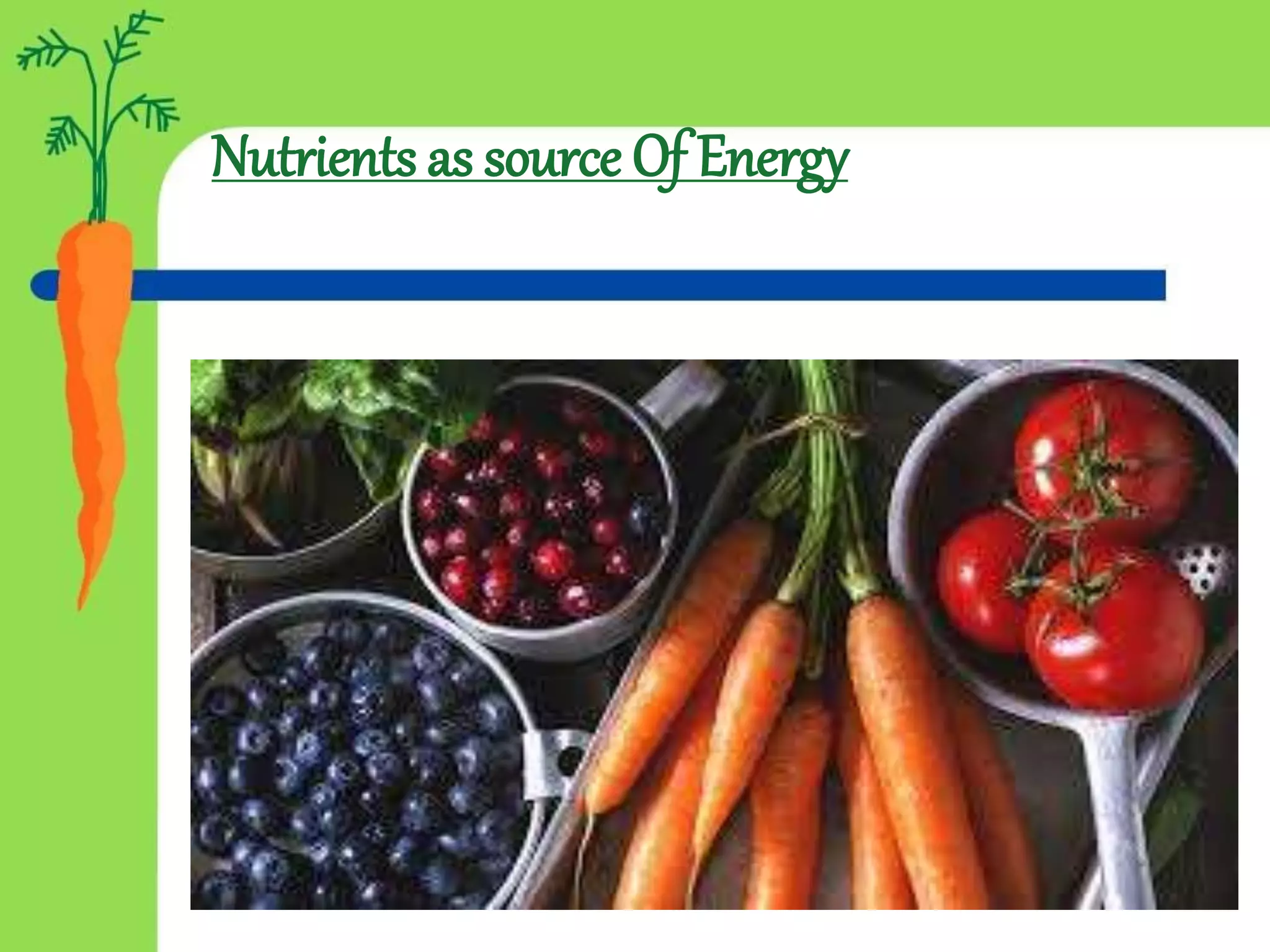 Nutrients as source of energy by manahil khanum | PPTX