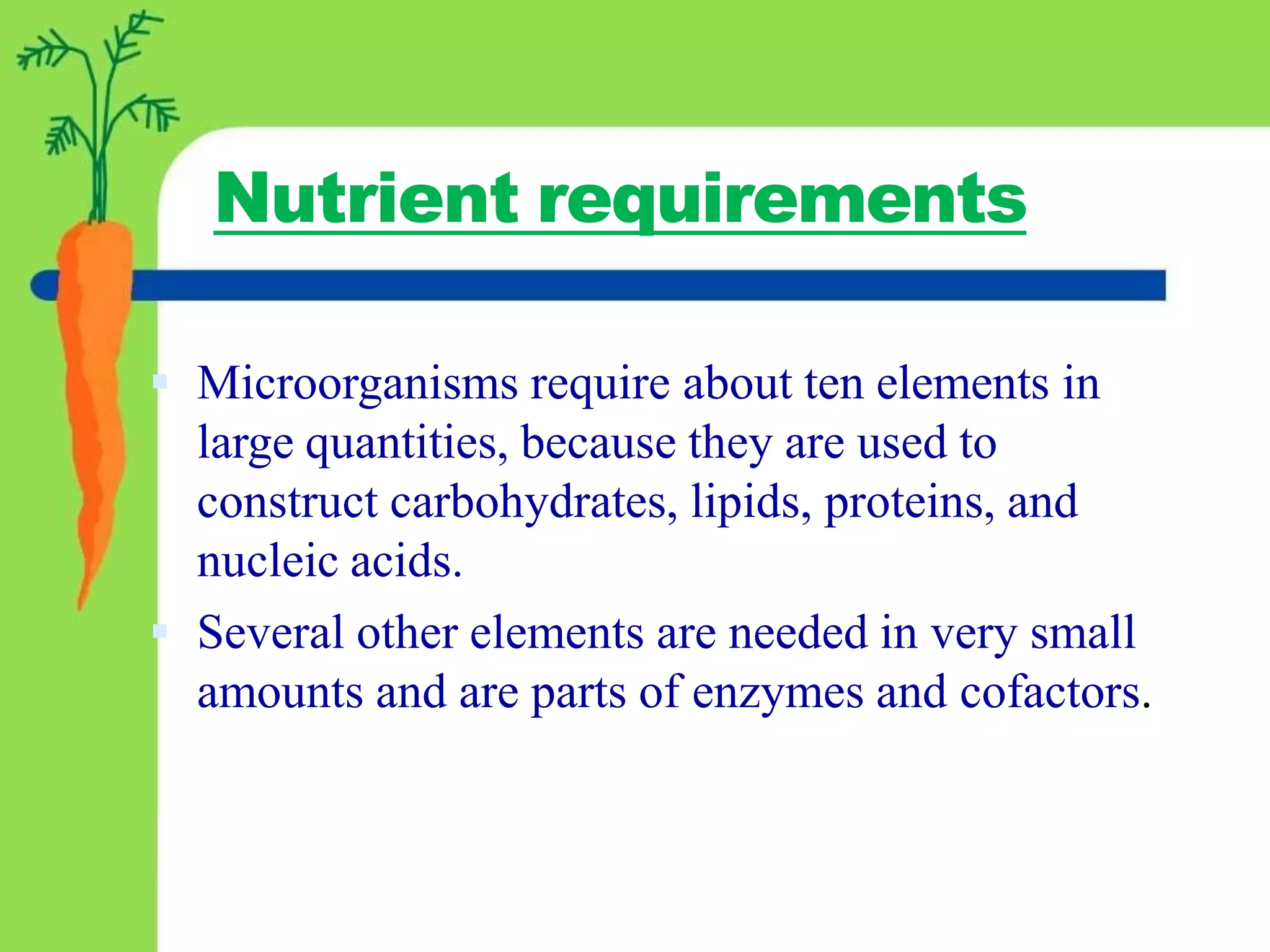 Nutrients as source of energy by manahil khanum | PPTX