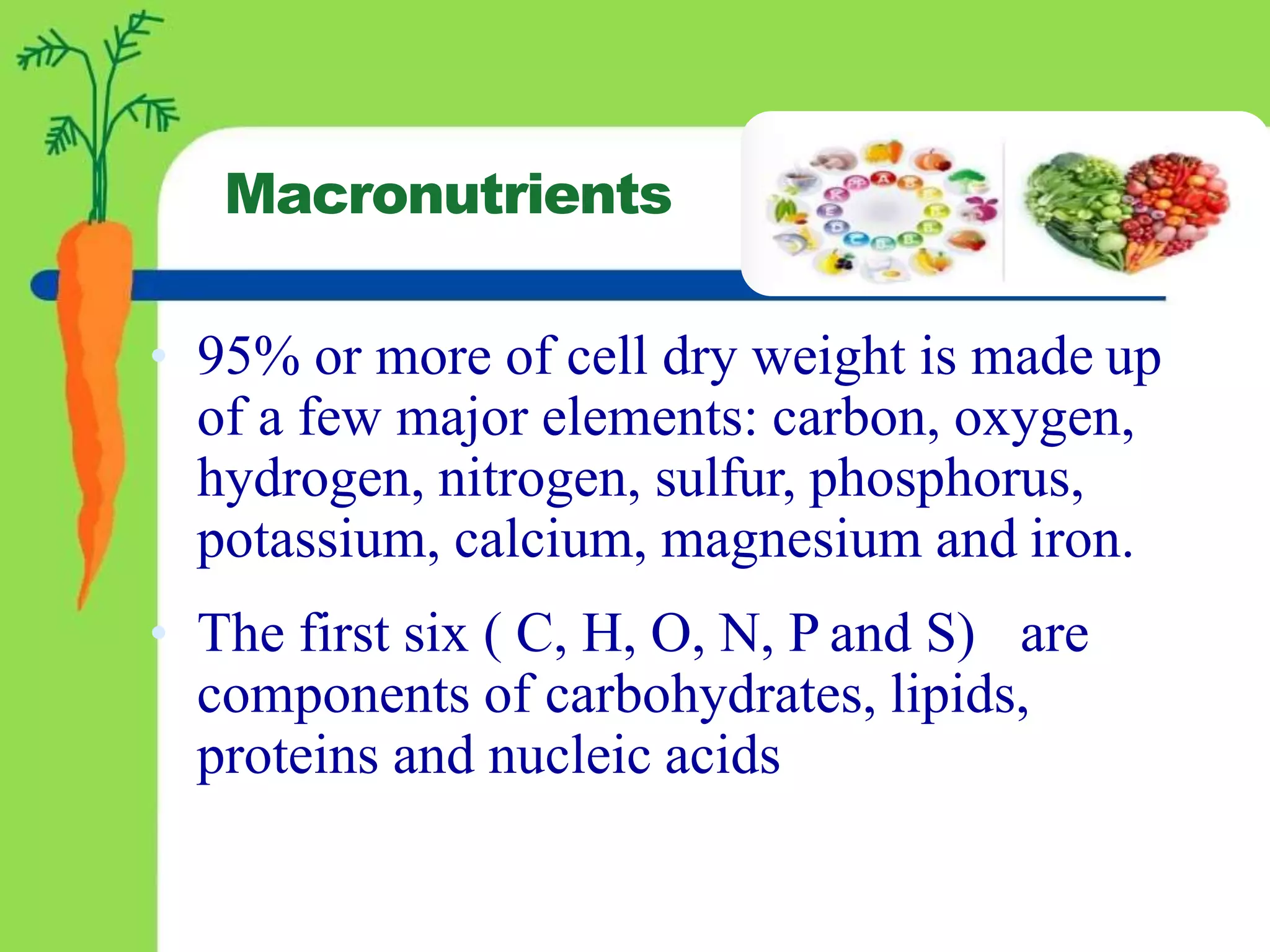 Nutrients as source of energy by manahil khanum | PPTX