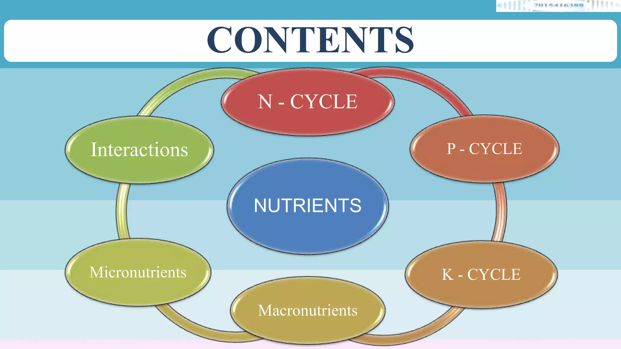 Nutrients Consumption.pptx