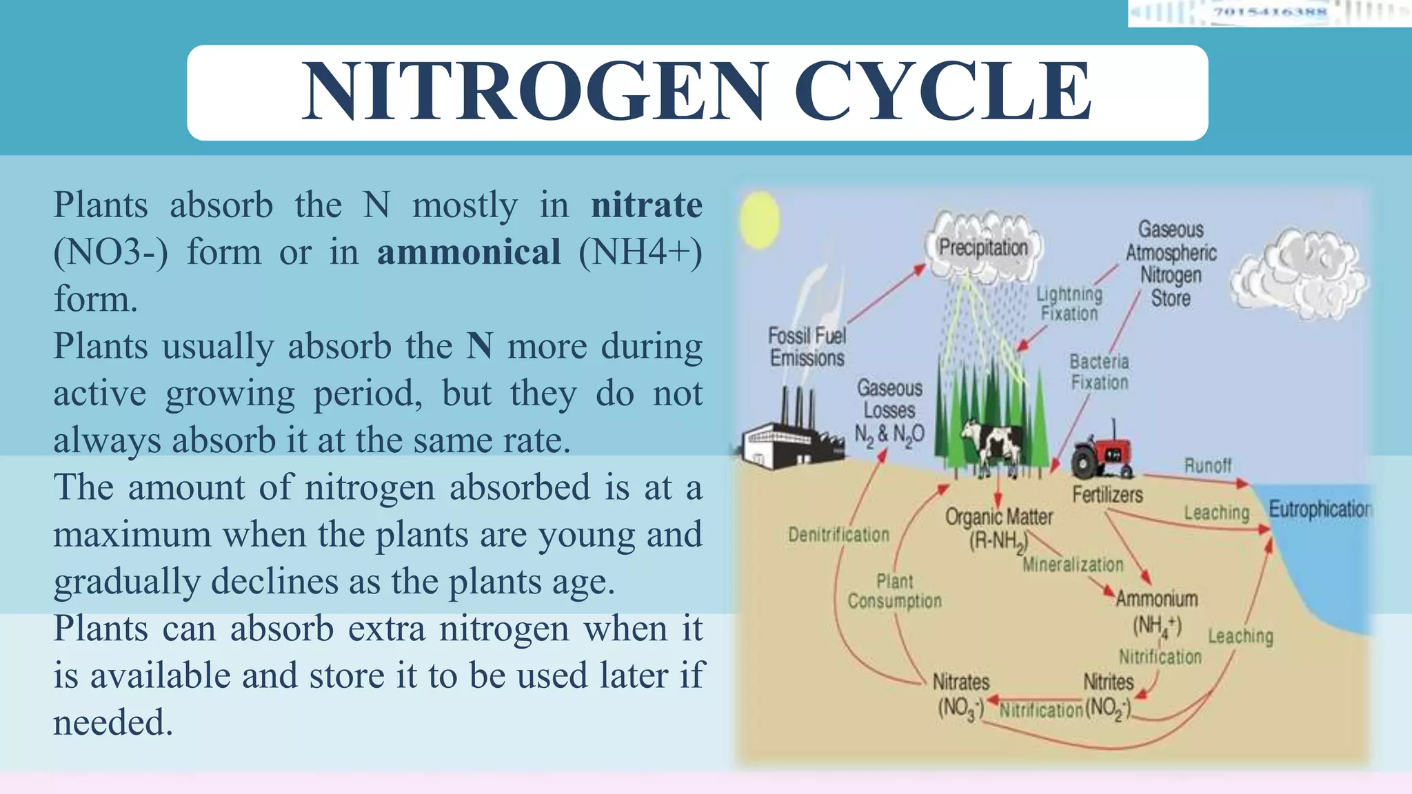 Nutrients Consumption.pptx