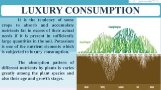 Nutrients Consumption.pptx