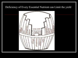 Nutrients deficiency symptoms in plants | PPT