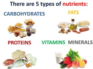Nutrients in food alejandro | PPTX