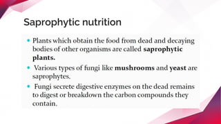 Nutrients in living organisms | PPT