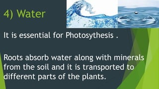 Nutrients in plants | PPTX