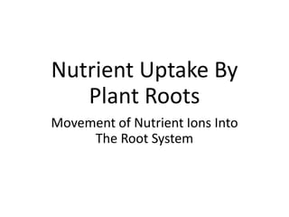 Nutrient Uptake- by plant WPS Office-1.pptx