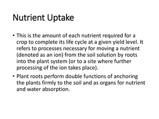 Nutrient Uptake- by plant WPS Office-1.pptx