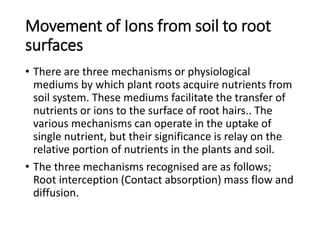 Nutrient Uptake- by plant WPS Office-1.pptx