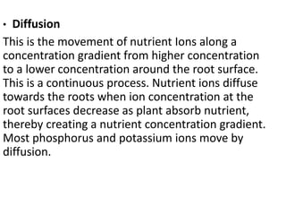 Nutrient Uptake- by plant WPS Office-1.pptx