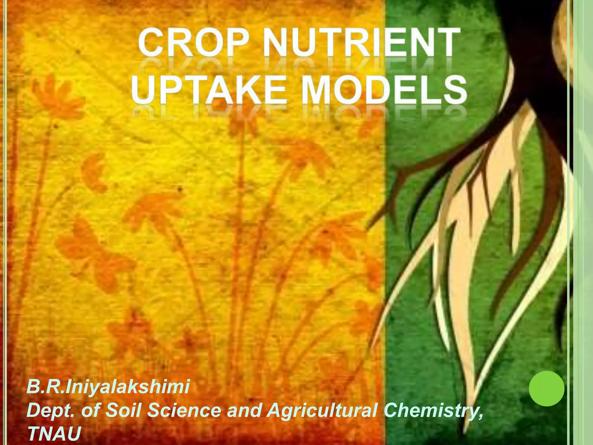 Crop Nutrient uptake models | PPTX