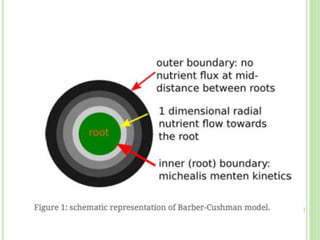 Crop Nutrient uptake models | PPTX