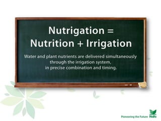 The benefits of Nutrigation™ | PDF