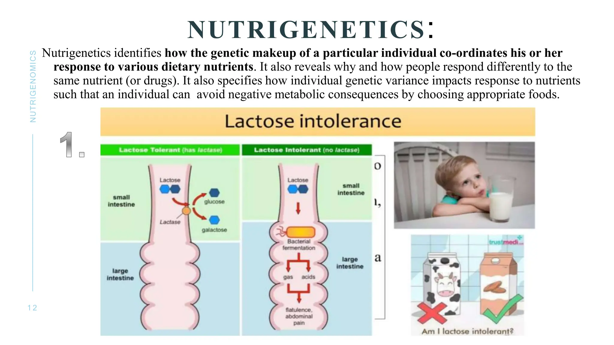 Nutrigenomics | PPTX