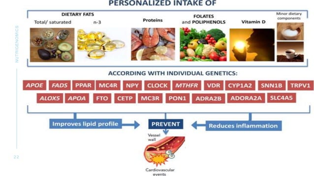 Nutrigenomics | PPTX | Endocrine and Metabolic Diseases | Diseases and ...