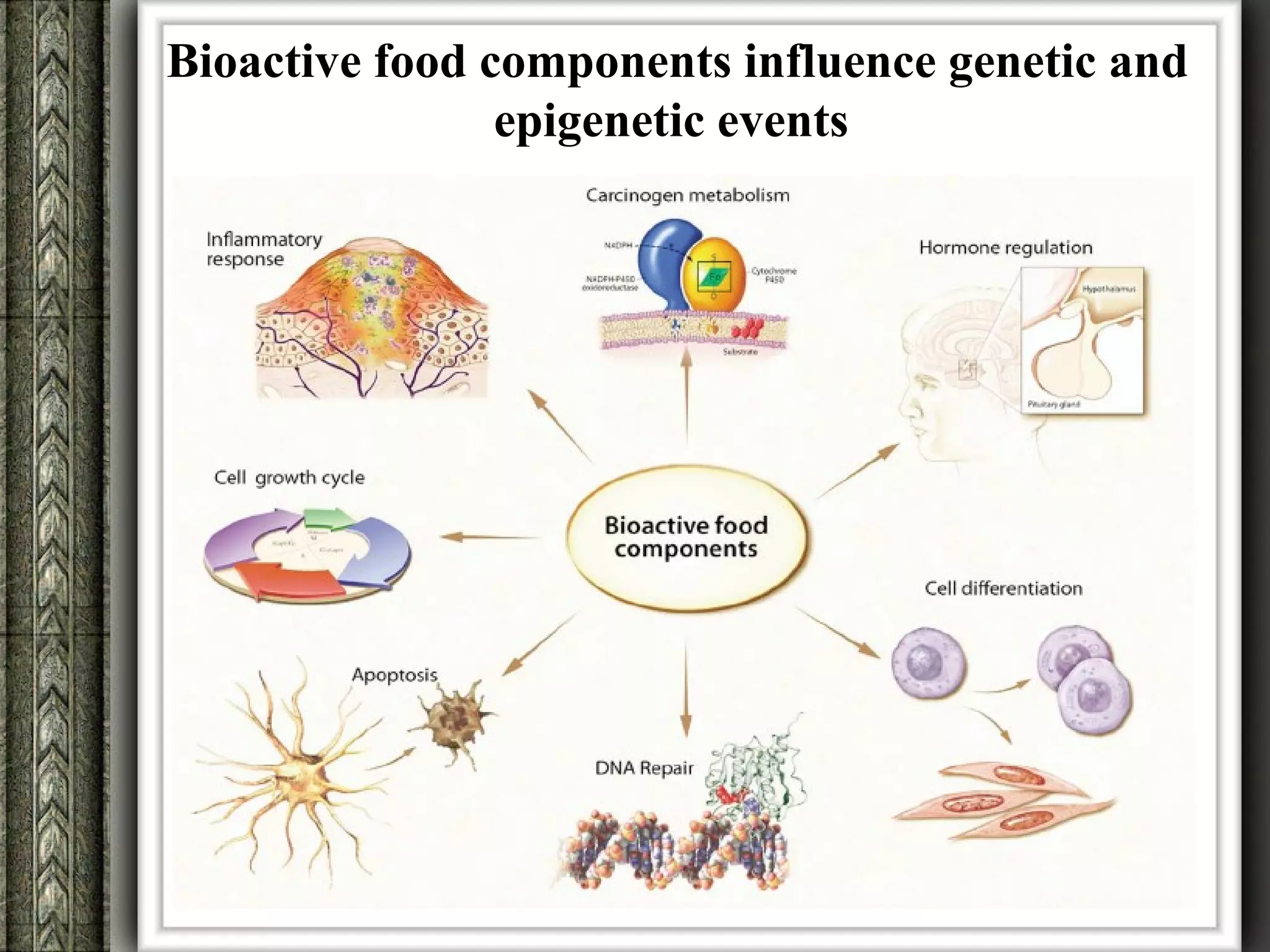 Nutrigenomics | PPT