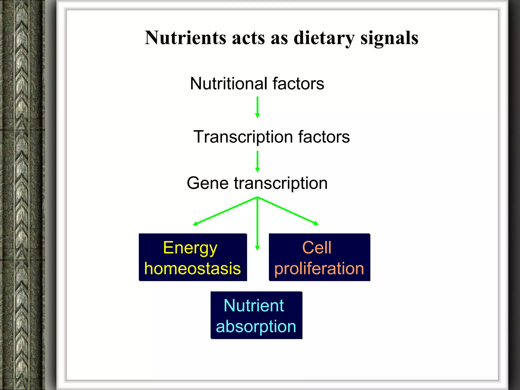 Nutrigenomics | PPT