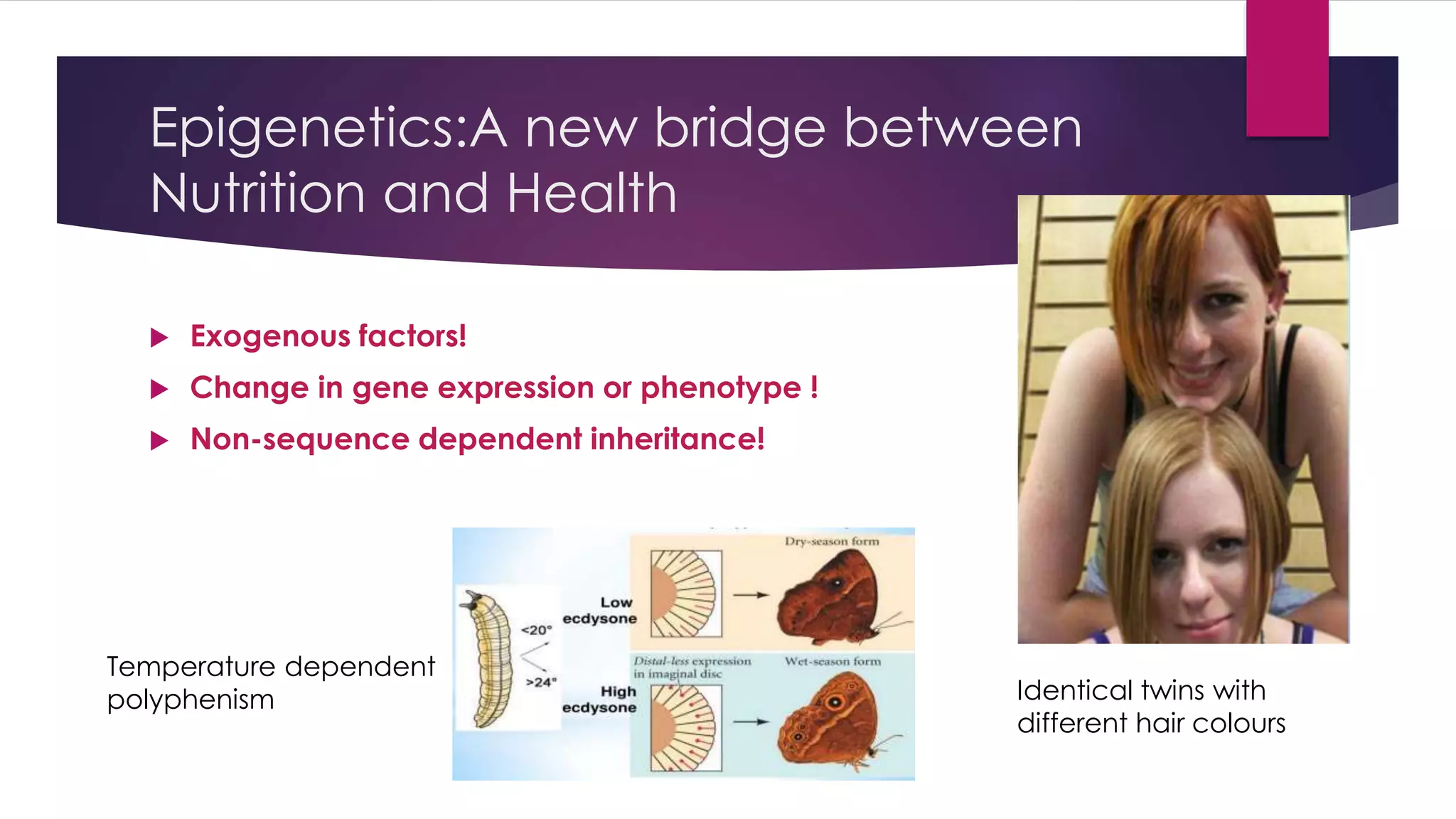 Nutrigenomics | PPTX