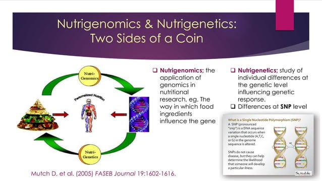 Nutrigenomics | PPTX