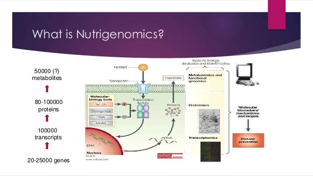 Nutrigenomics