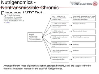 Nutrigenomics | PPT