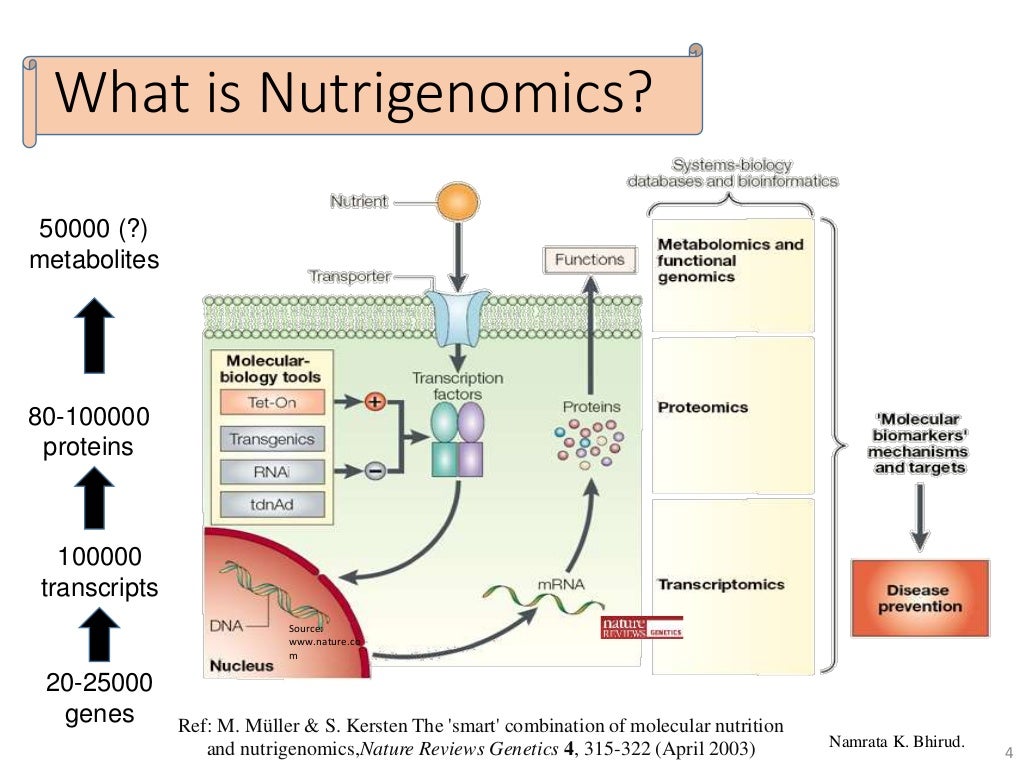 Nutrigenomics