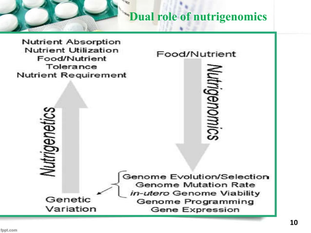nutrigenomics.ppt | Nutrition | Healthy Living