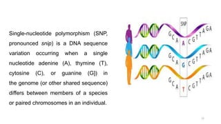 NUTRIGENOMICS 1.3.20.pptx