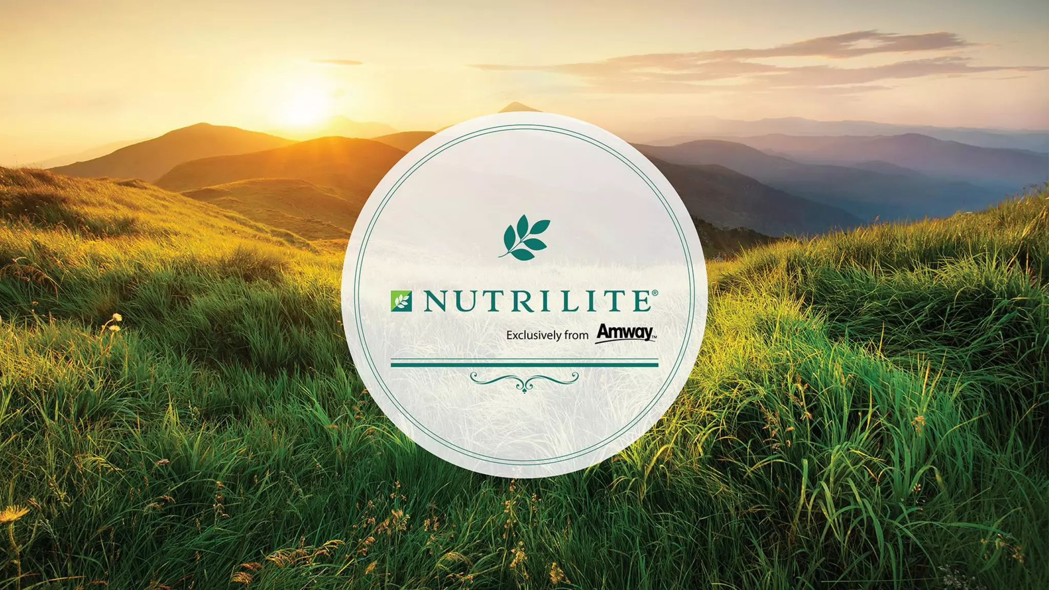 Nutrilite Traditional Herbs Range | PDF