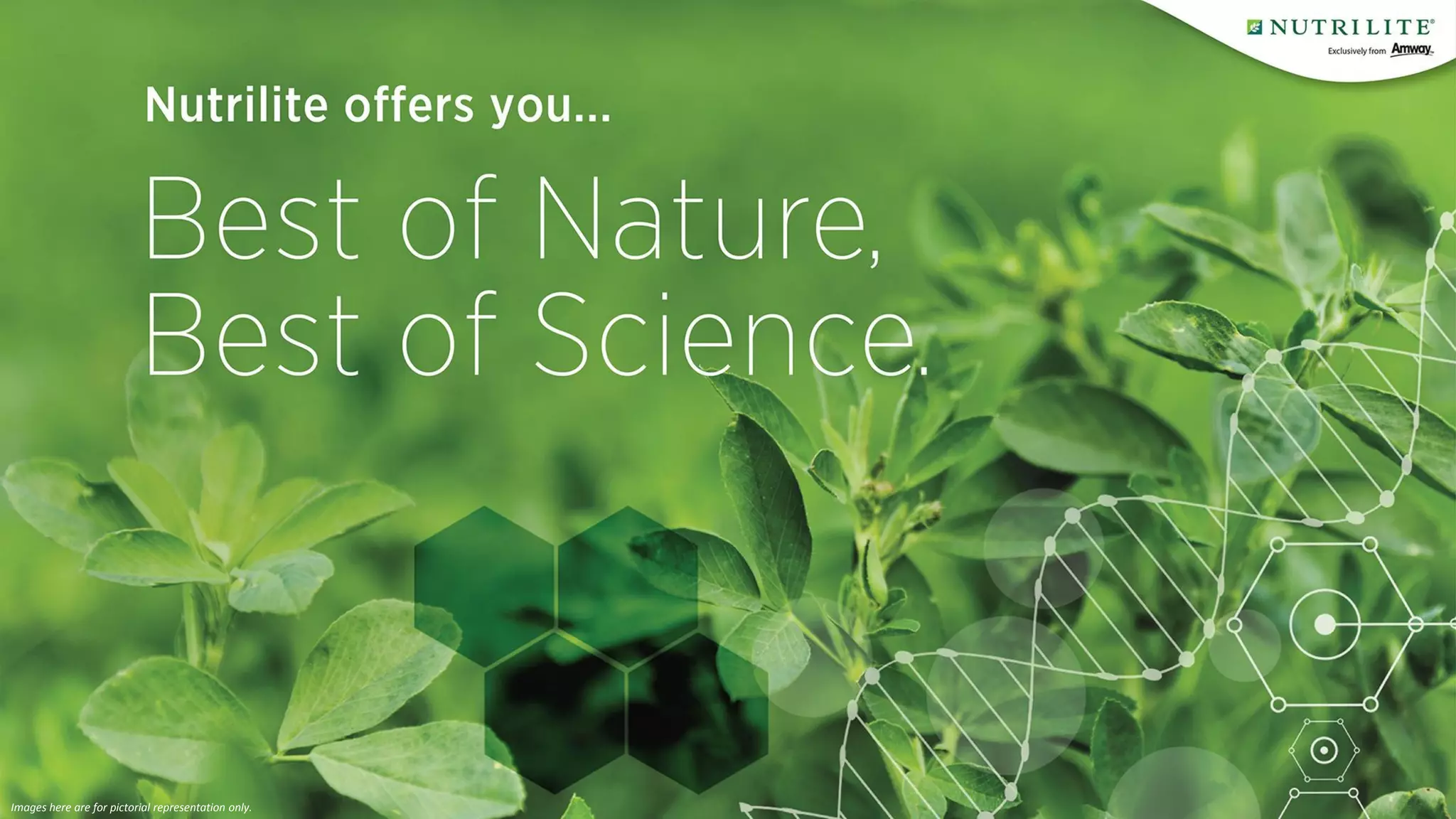 Nutrilite Traditional Herbs Range | PDF