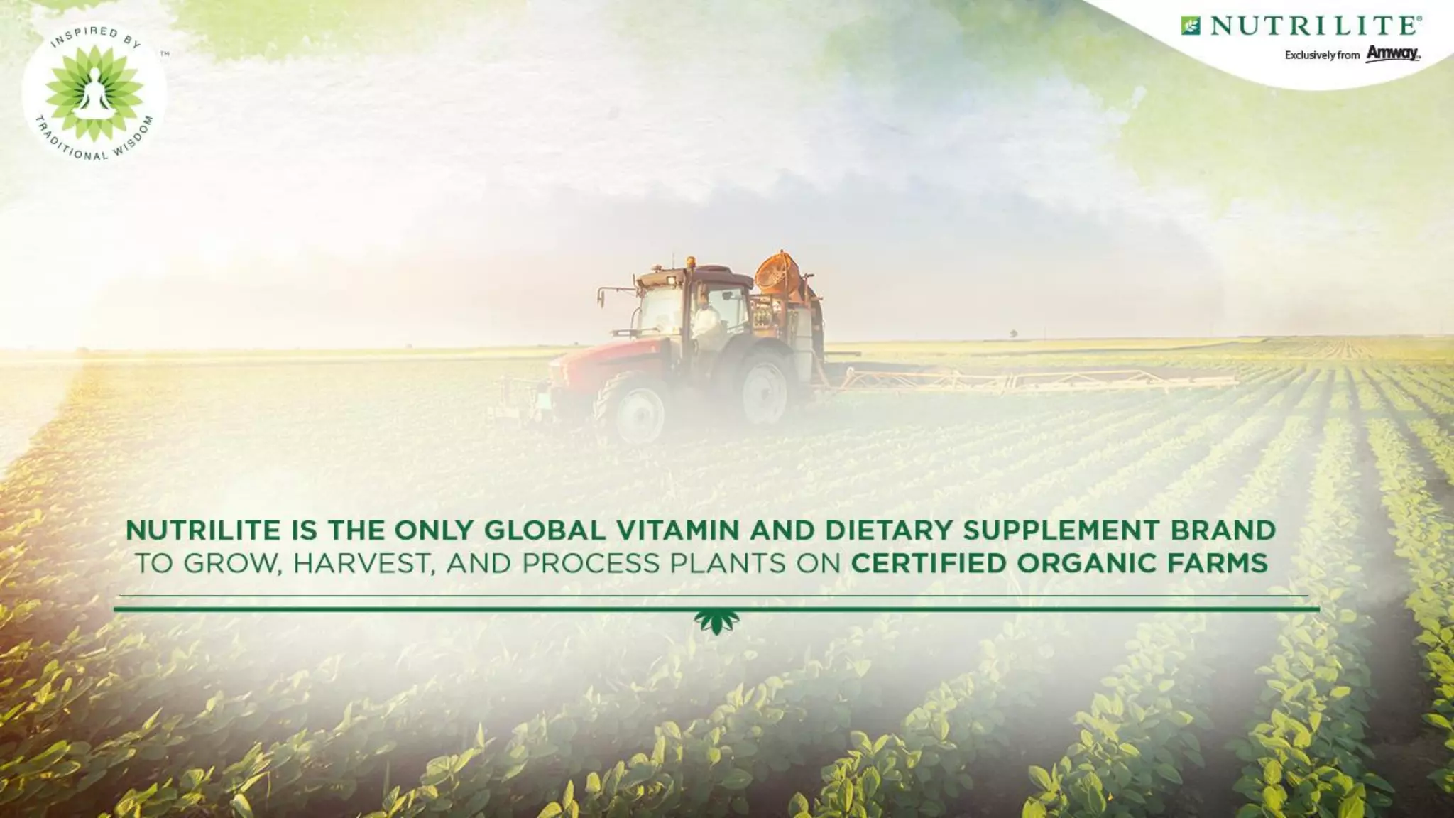 Nutrilite Traditional Herbs Range | PDF