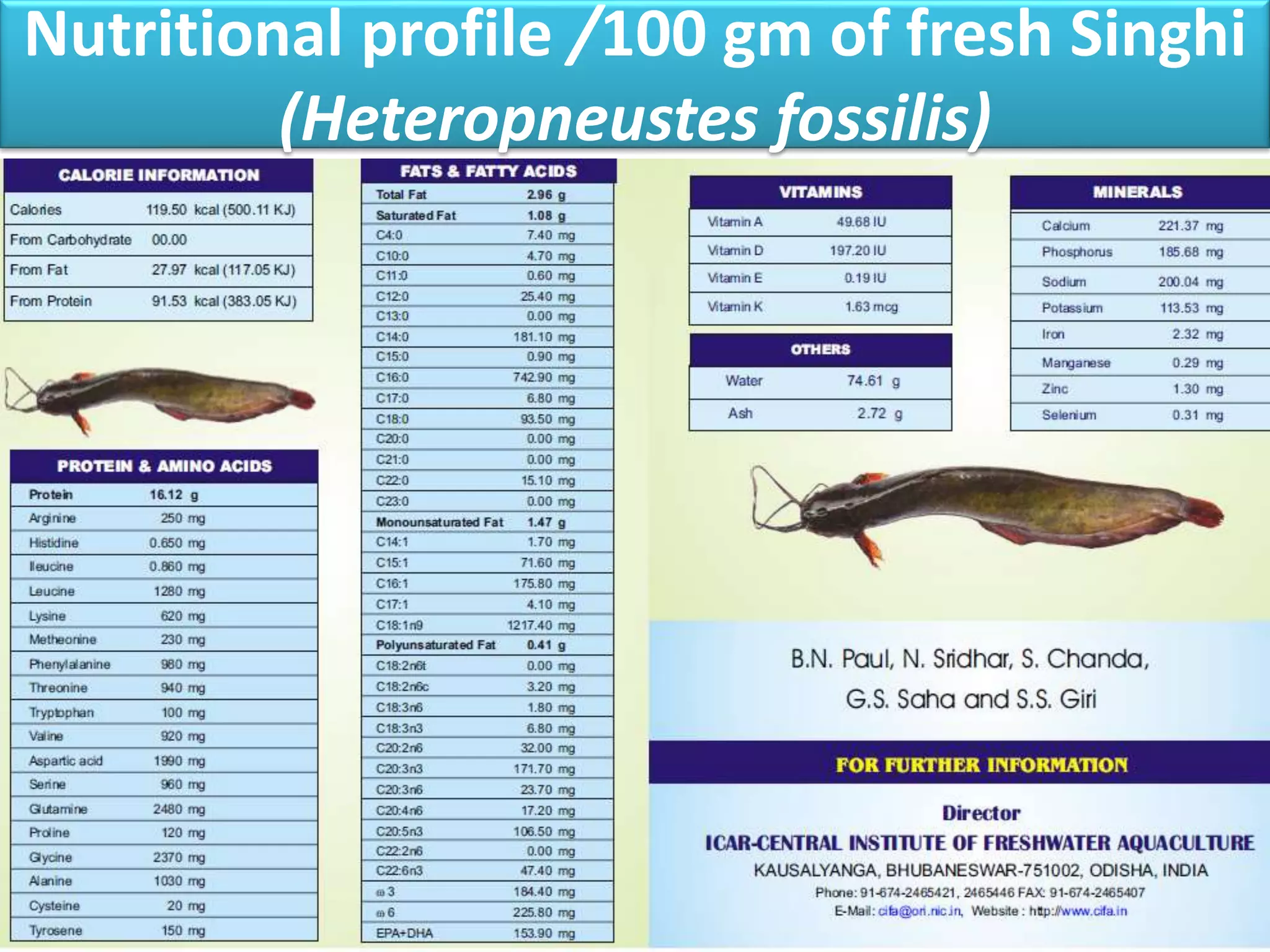 Nutrional value of major fin fishes &shell fishes and Importance in ...