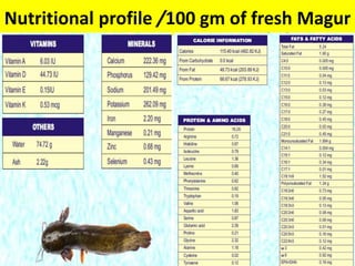 Nutrional value of major fin fishes &shell fishes and Importance in ...