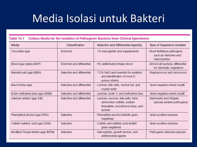 Nutrisi dan Media.pptx