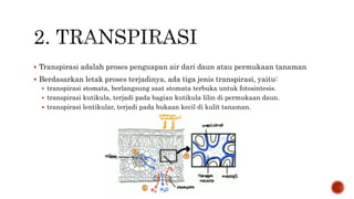 Nutrisi dan transformasi energi tumbUHAN.pptx
