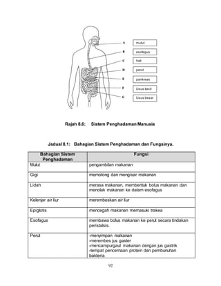 Nutrisi haiwan | DOCX