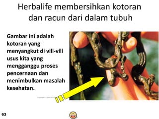 Nutrisi herbalife di indonesia | PPT