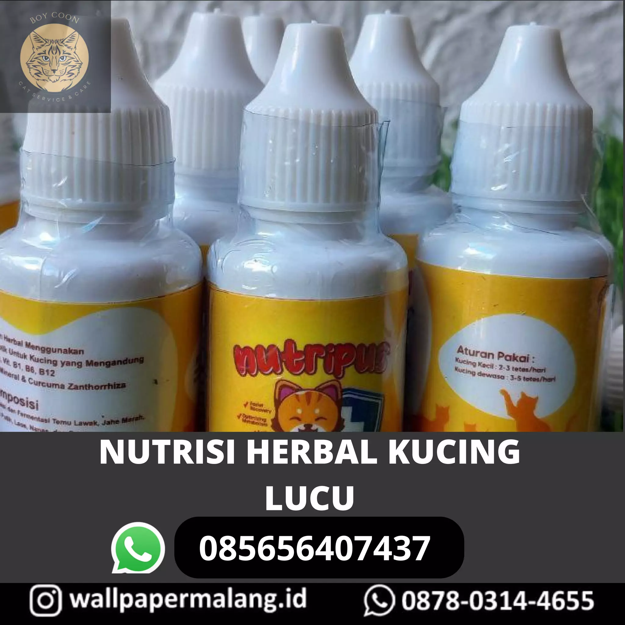 NUTRISI HERBAL KUCING KUCU.pdf