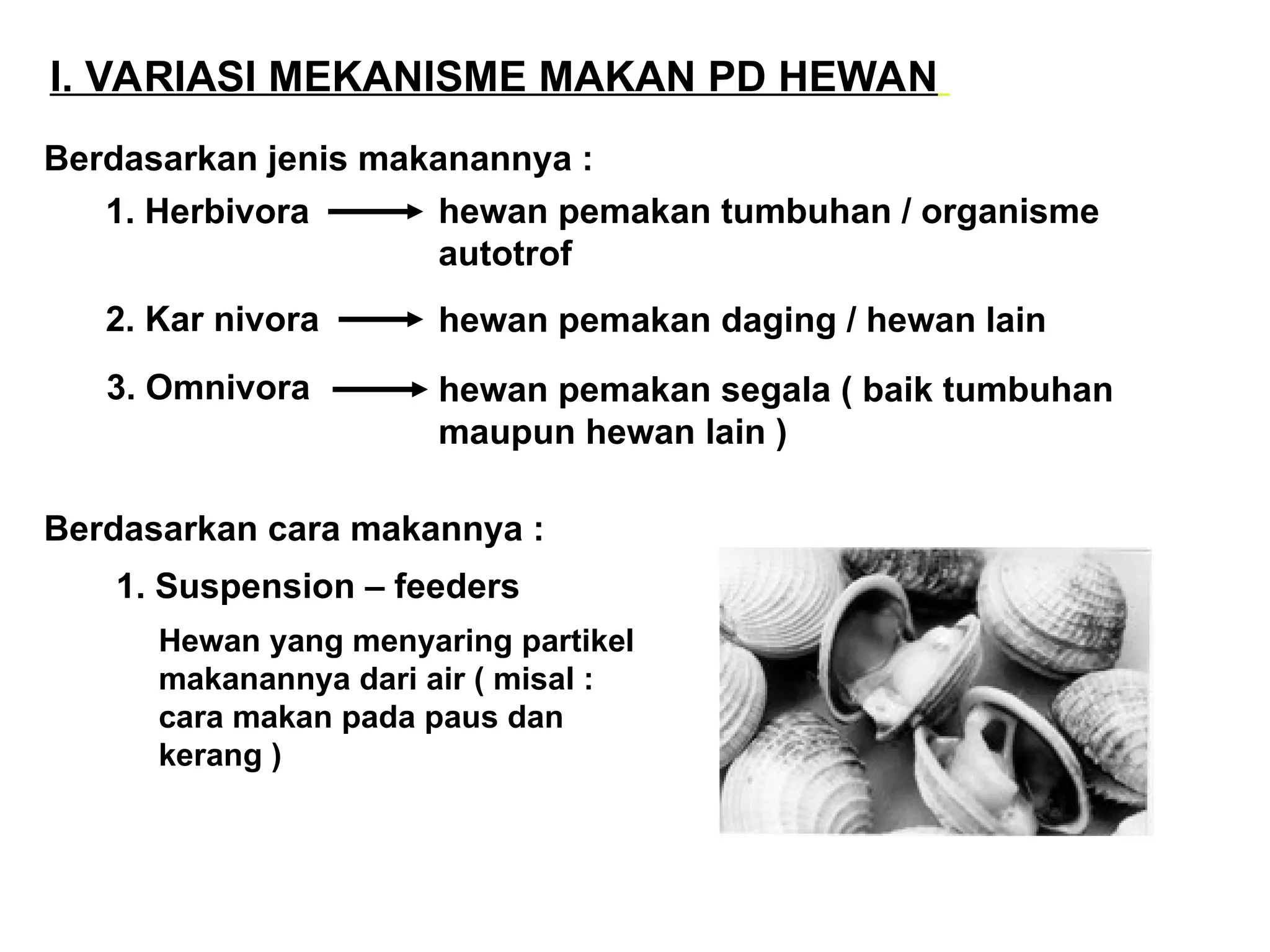 Nutrisi hewan dan Sistem Pemcernaannya.ppt